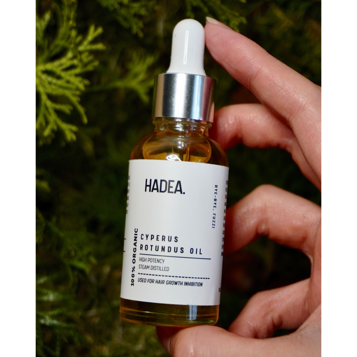 Cyperus Rotundus Oil to Reduce Hair Growth – HADEA